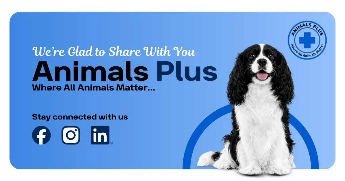 Animals Plus | Trusted Vets in Nadi for Pets& Livestock Care